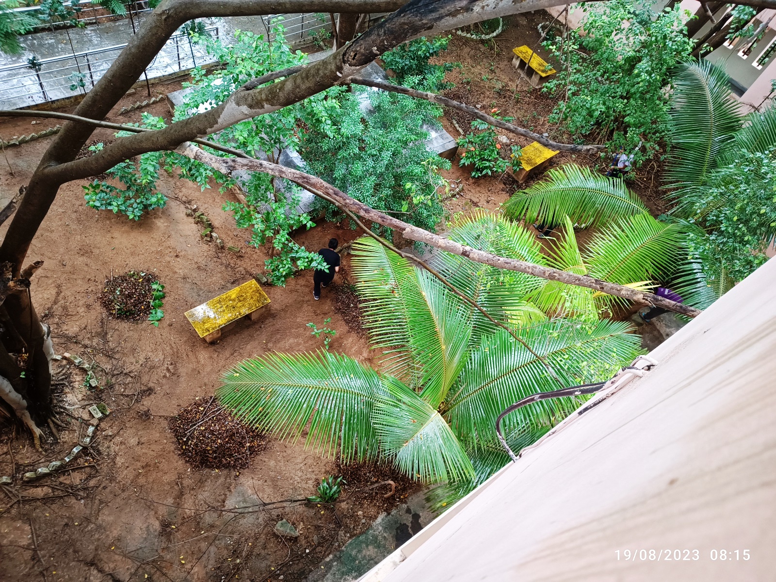 NSS Cell organizes Clean-Up drive