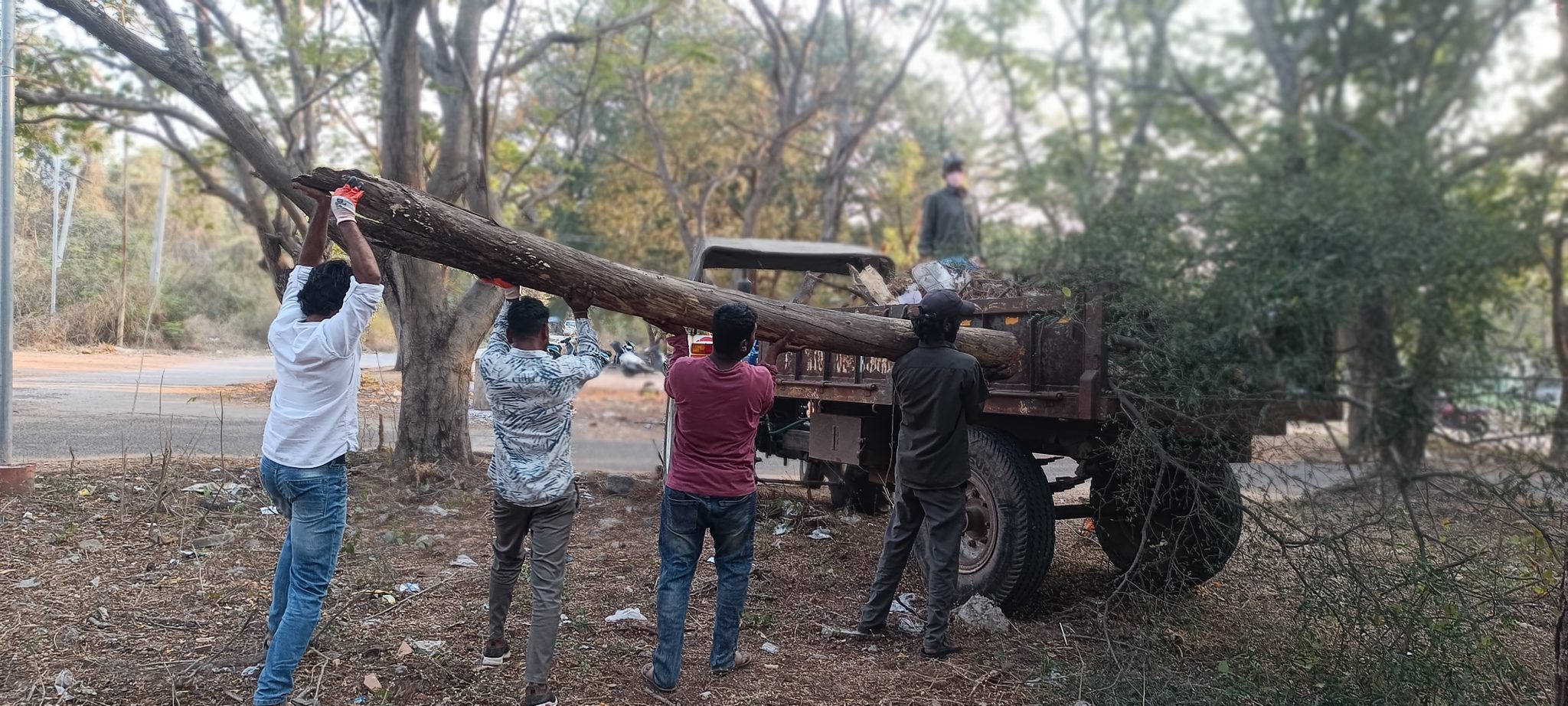 NSS Clean-up Drive at School of Social Sciences, UoH